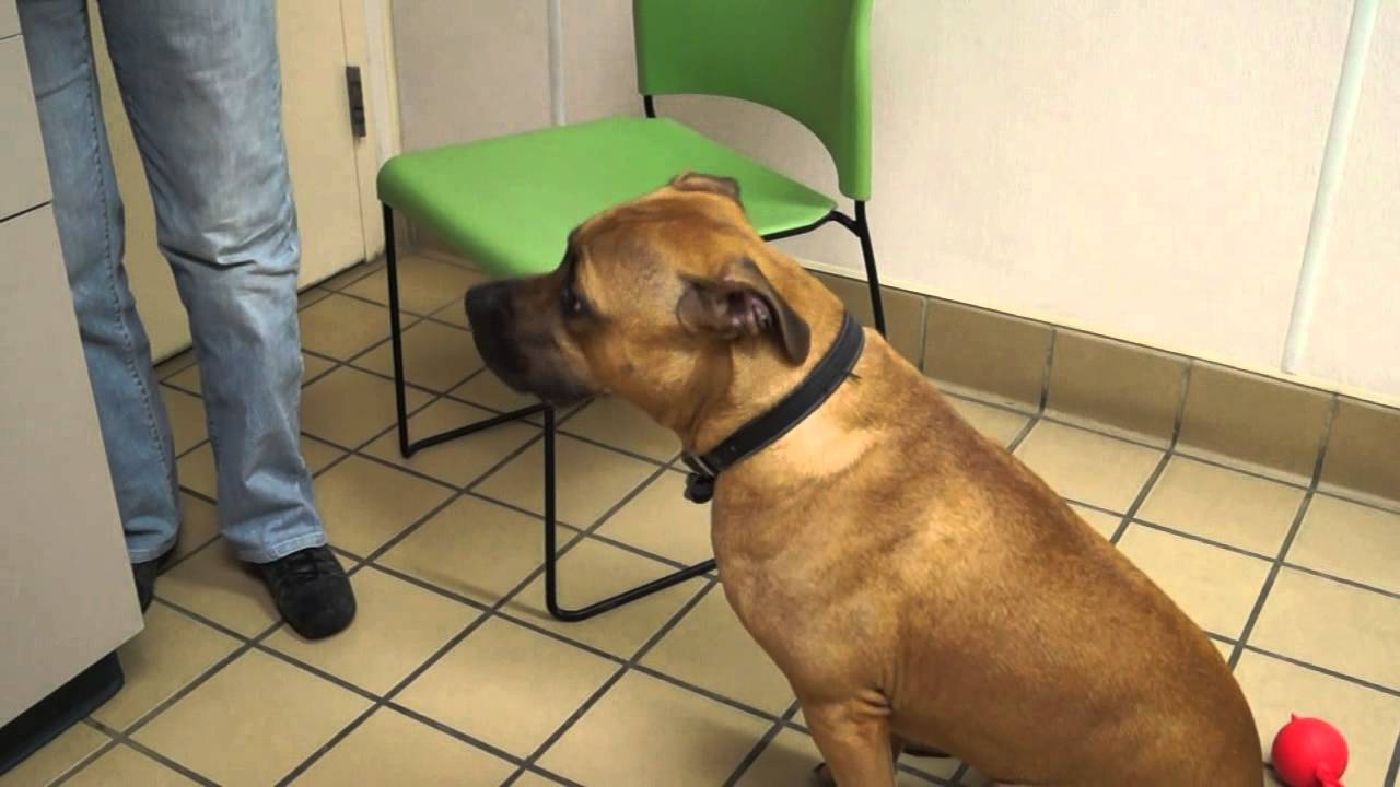 Bubba Luke - YouTube