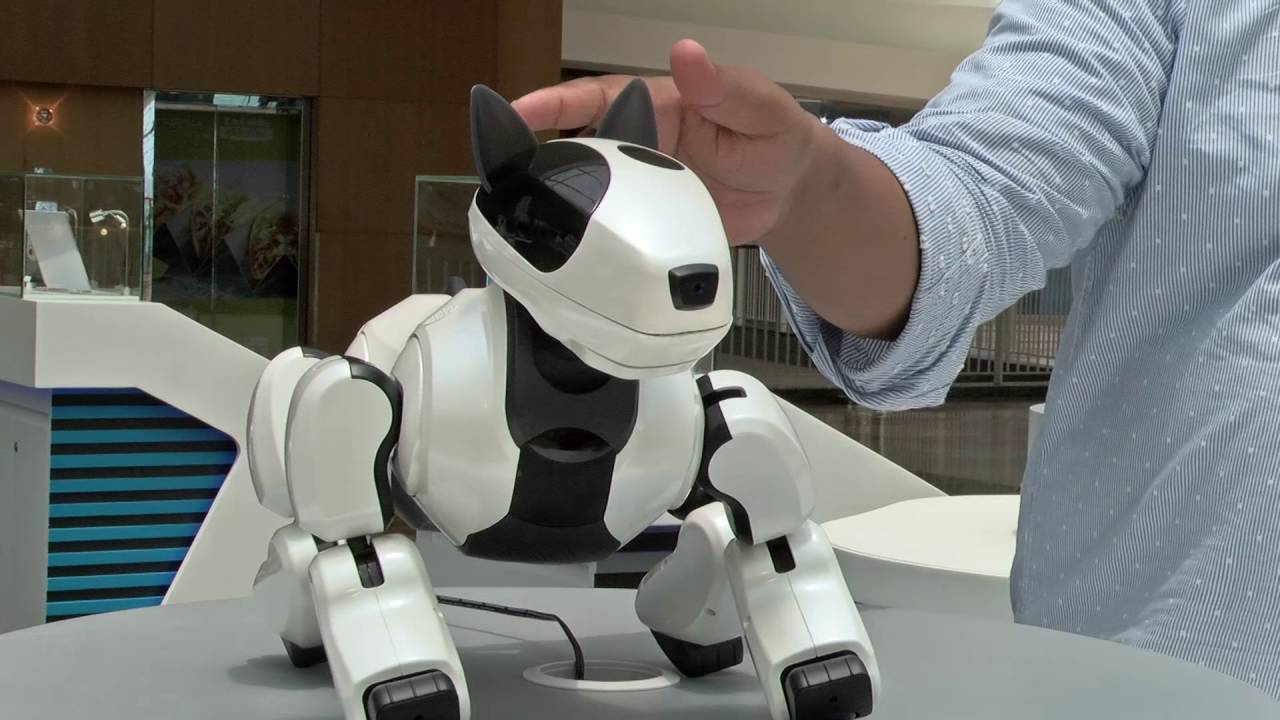 First robotics and innovation store in Dubai - YouTube