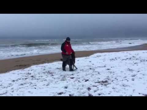 Yaël y la nieve en la playa de denia - YouTube