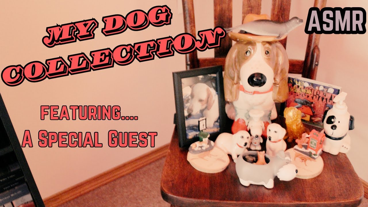 DOG ASMR - Tapping on my Dog Collection - YouTube