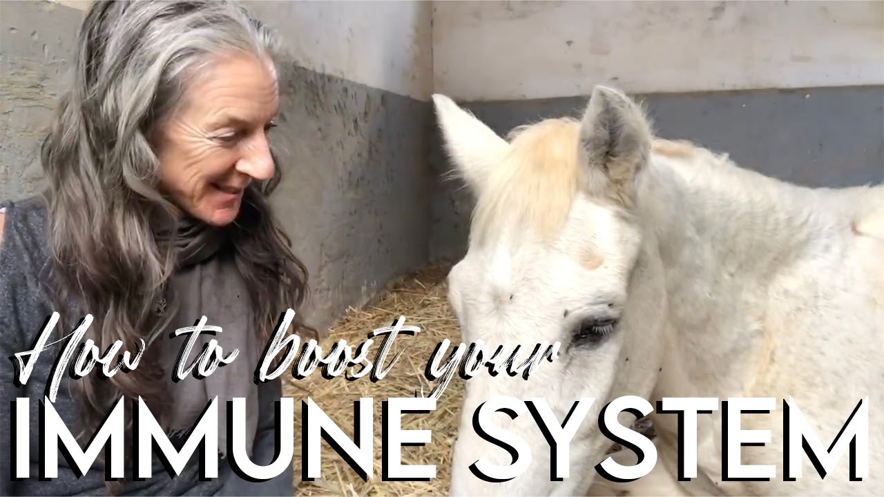 How to boost your IMMUNE SYSTEM by being with your horse - YouTube