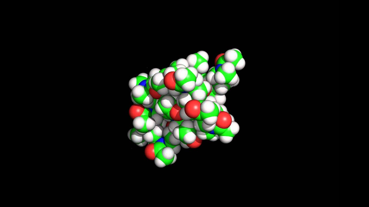 Molecular dynamics simulation of poly(2-alkyl-2-oxazoline) polymer in ...
