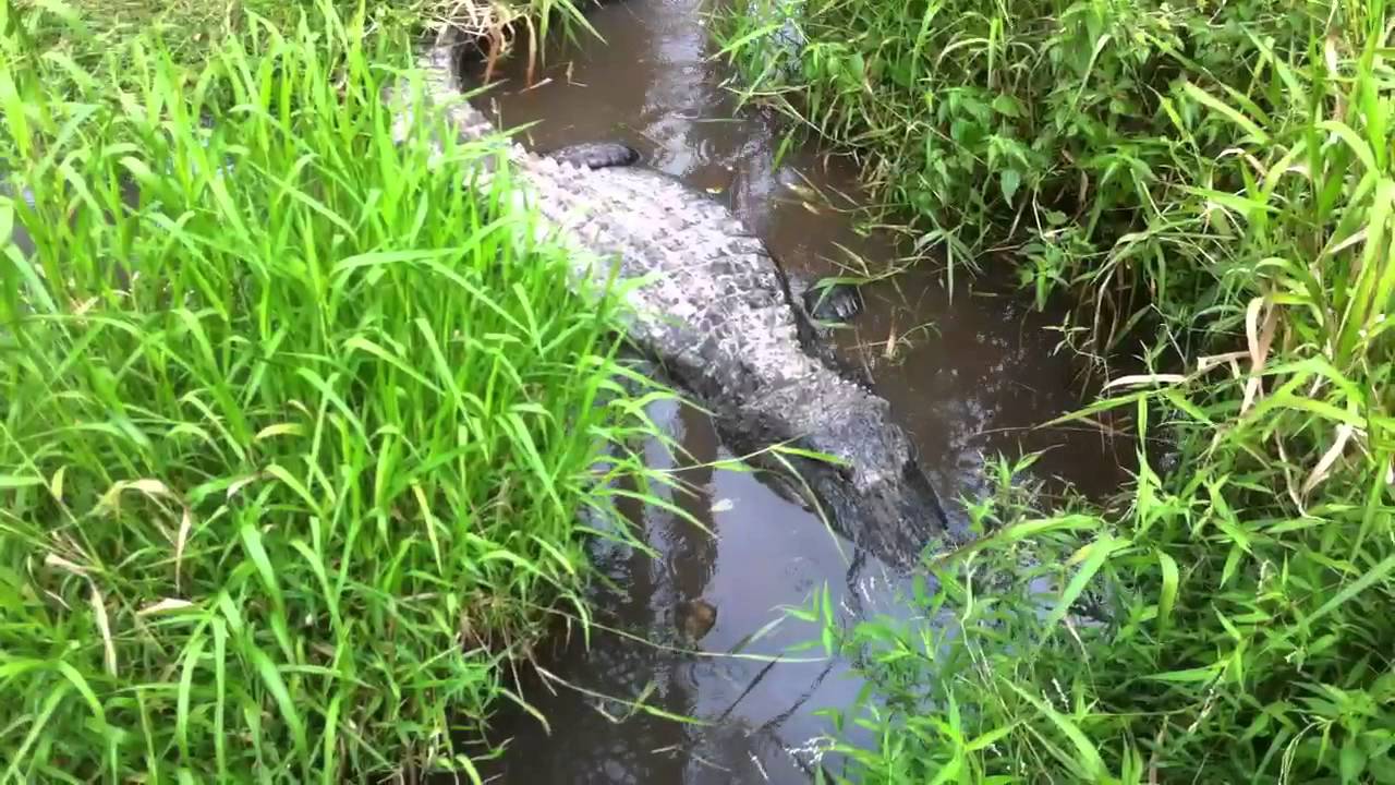 Captain Crunch - YouTube