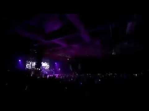 Aleyna tilki elegunekarsi