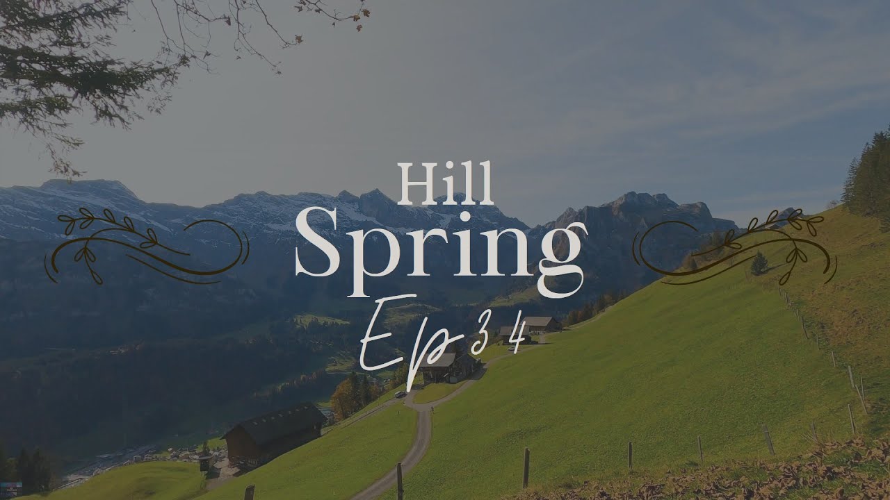 Relaxing Spring Atmosphere with Beautiful Blooming Flowers and Sounds ...