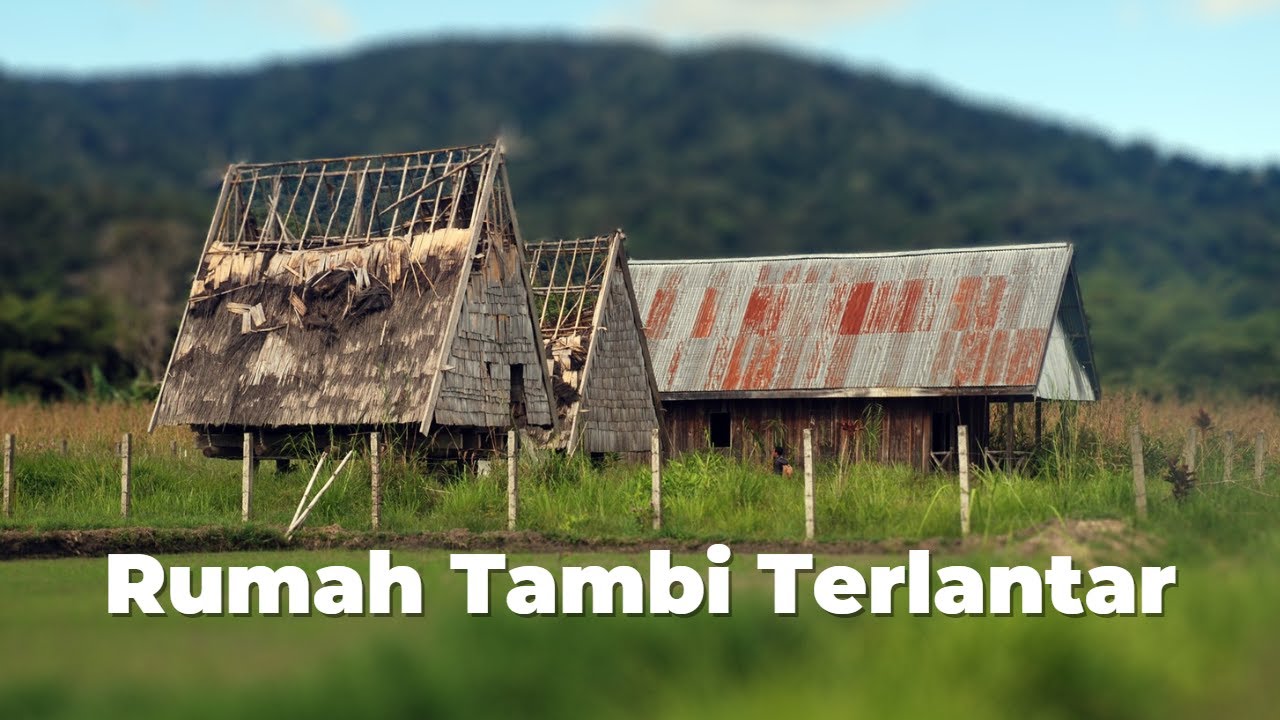 Rumah Adat Tambi Suku Lore di Kabupaten Poso Terancam Punah - YouTube