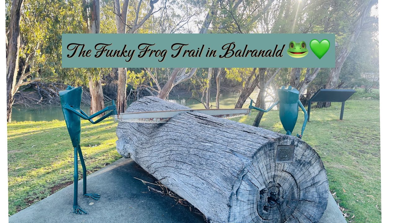 The Funky Frog Train in Balranald🐸 - YouTube