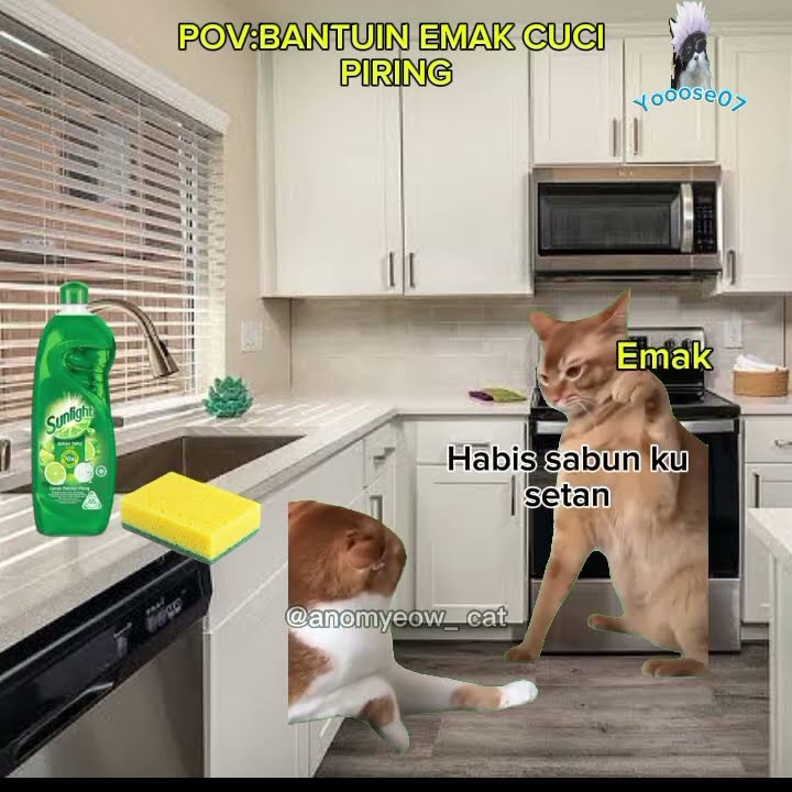 bantuin emka cuci piring #meme #kucinglucu #fypシ゚viral - YouTube
