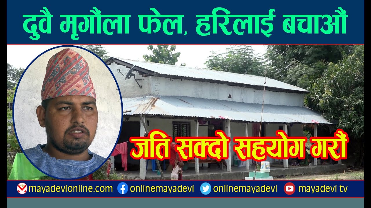 Hari Neupane | जीवन र मृत्युको मुखमा छन् हरि । जति सक्छौं सहयोग गरौं ...