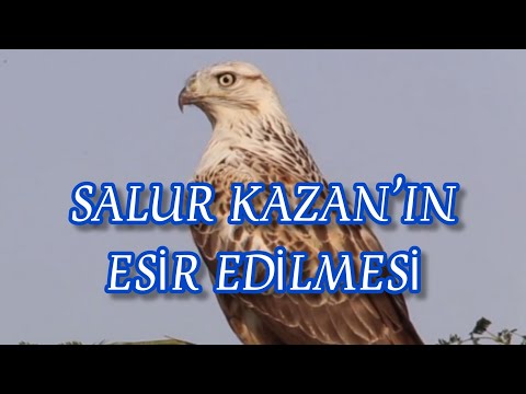 SALUR KAZAN'IN ESİR EDİLMESİ (Dede Korkut Hikayeleri)