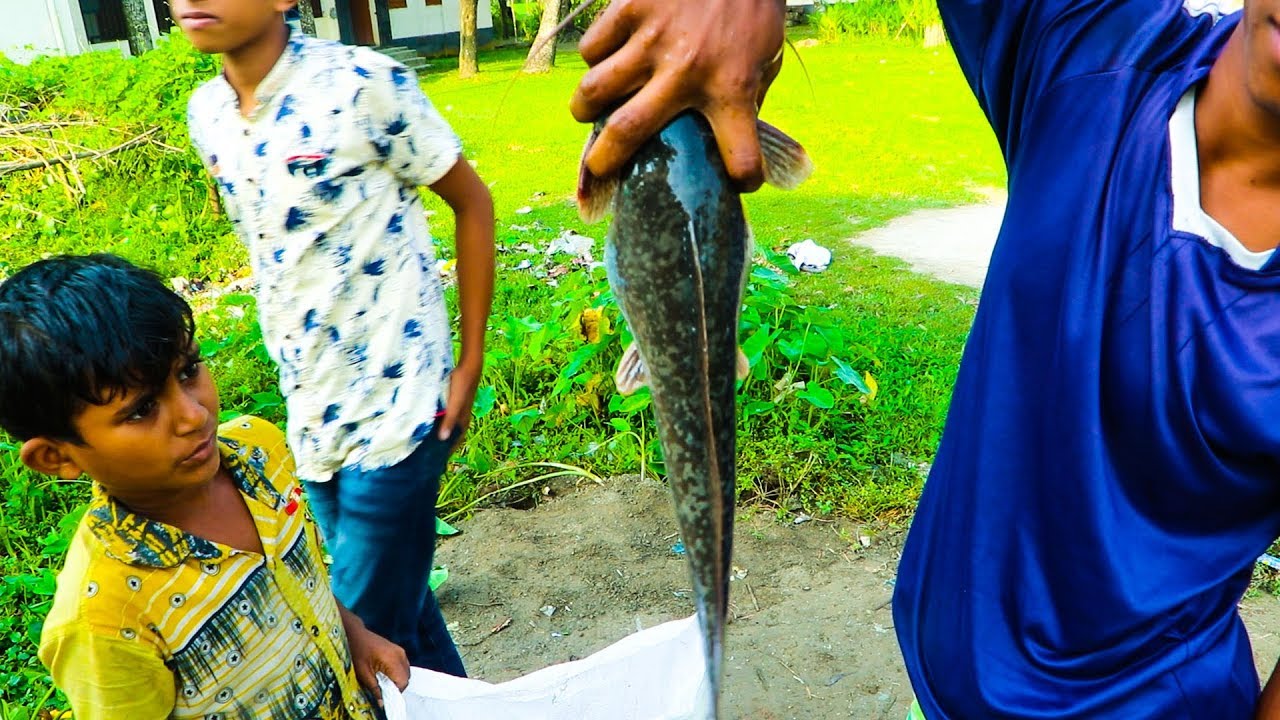 Hand Fish Catching ! Village People Catching Big Catfish by Hand Use ...
