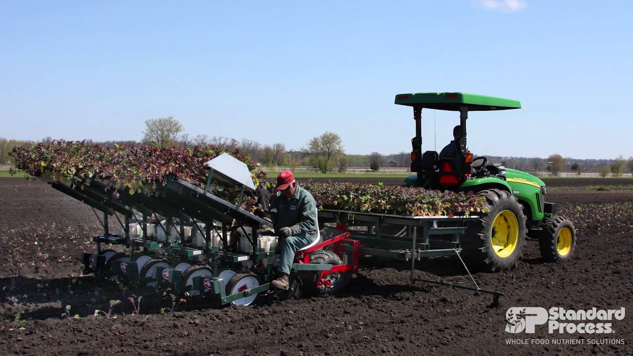 At Standard Process, Healthy Soil Yields Healthy Food - YouTube