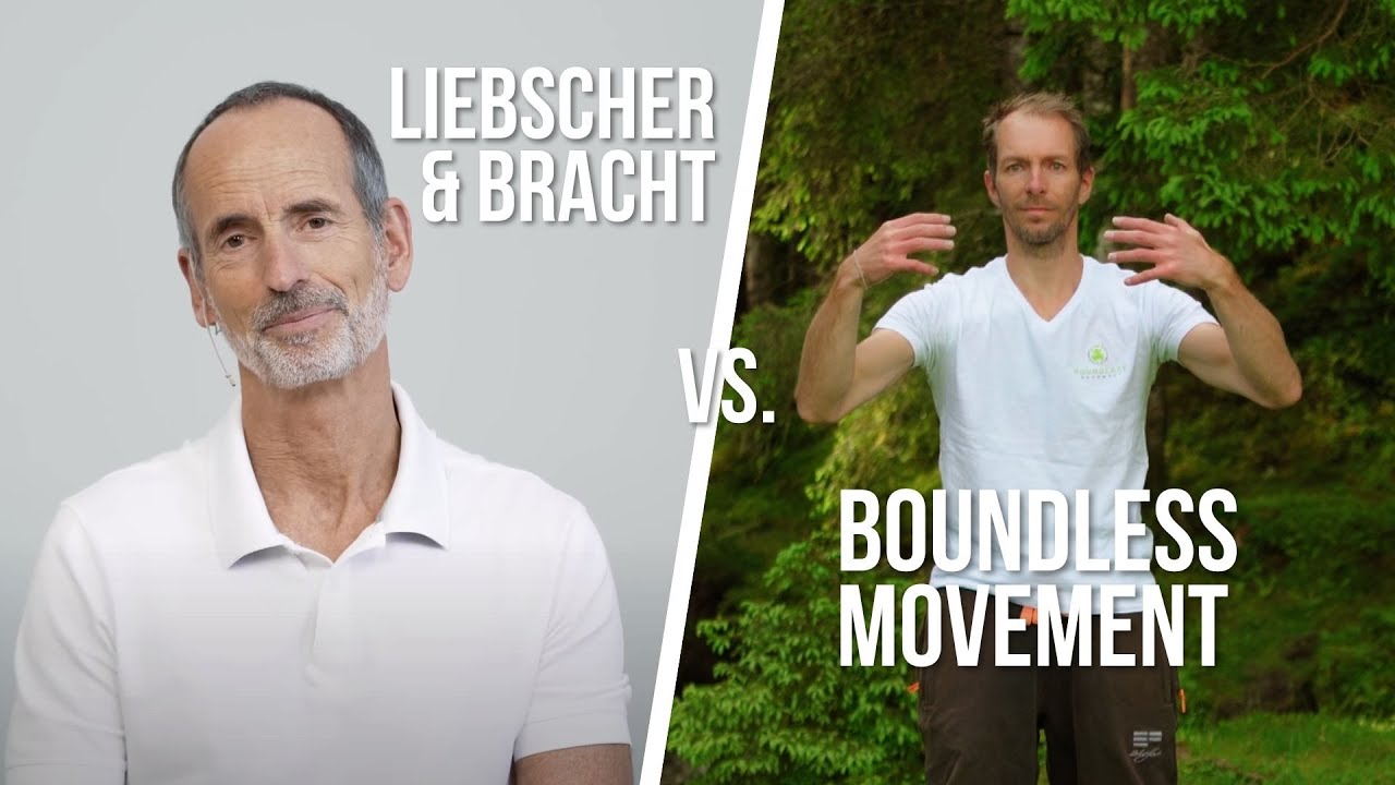 Die Unterschiede und Gemeinsamkeiten von LIEBSCHER & BRACHT und BOUNDLESS MOVEMENT - YouTube