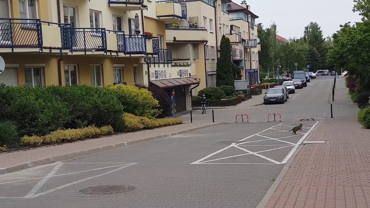 23 maja 2020 - YouTube