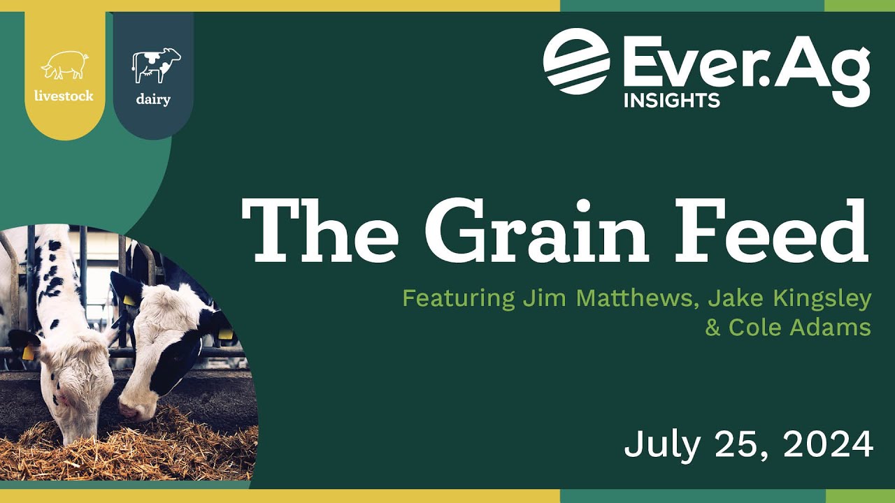 The Grain Feed - July 25, 2024 - YouTube