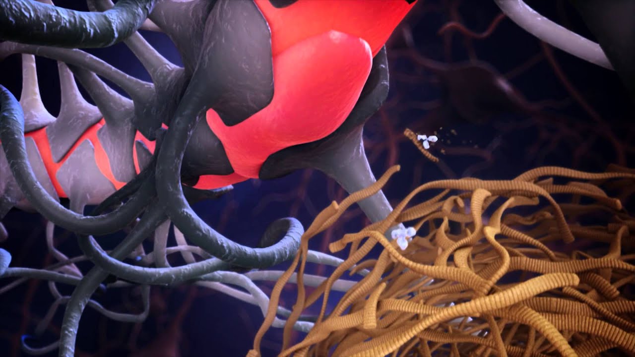 Brain Shuttle Animation - YouTube