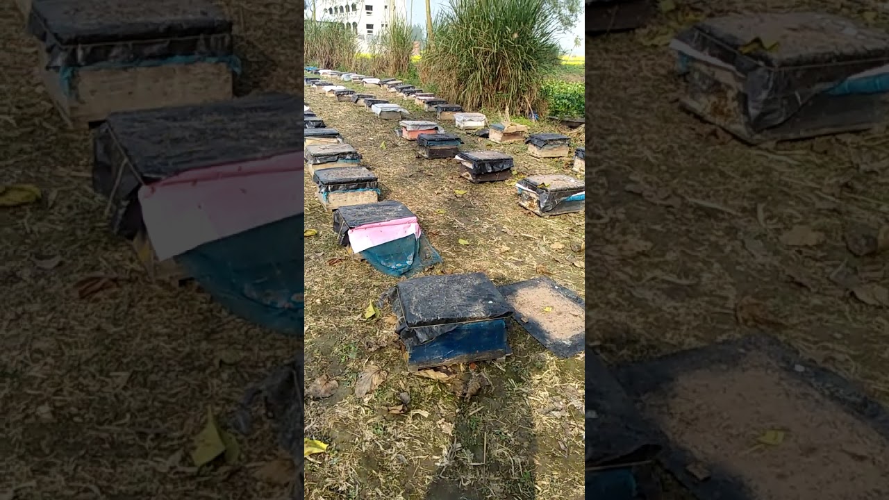 khati modhu a - YouTube