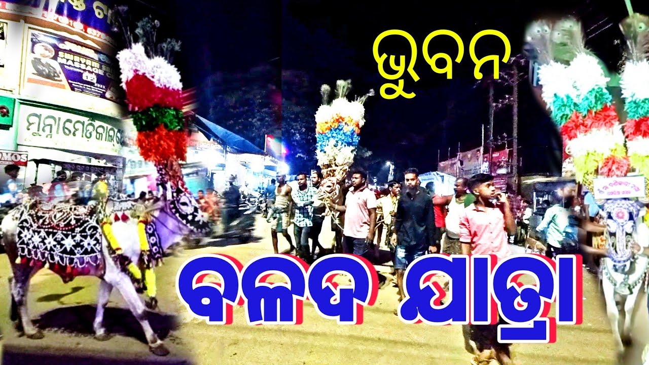 BHUBAN BALADA JATARA (ଭୁବନ ବଳଦ ଯାତ୍ରା) @bikashkumarnayak8325 # ...