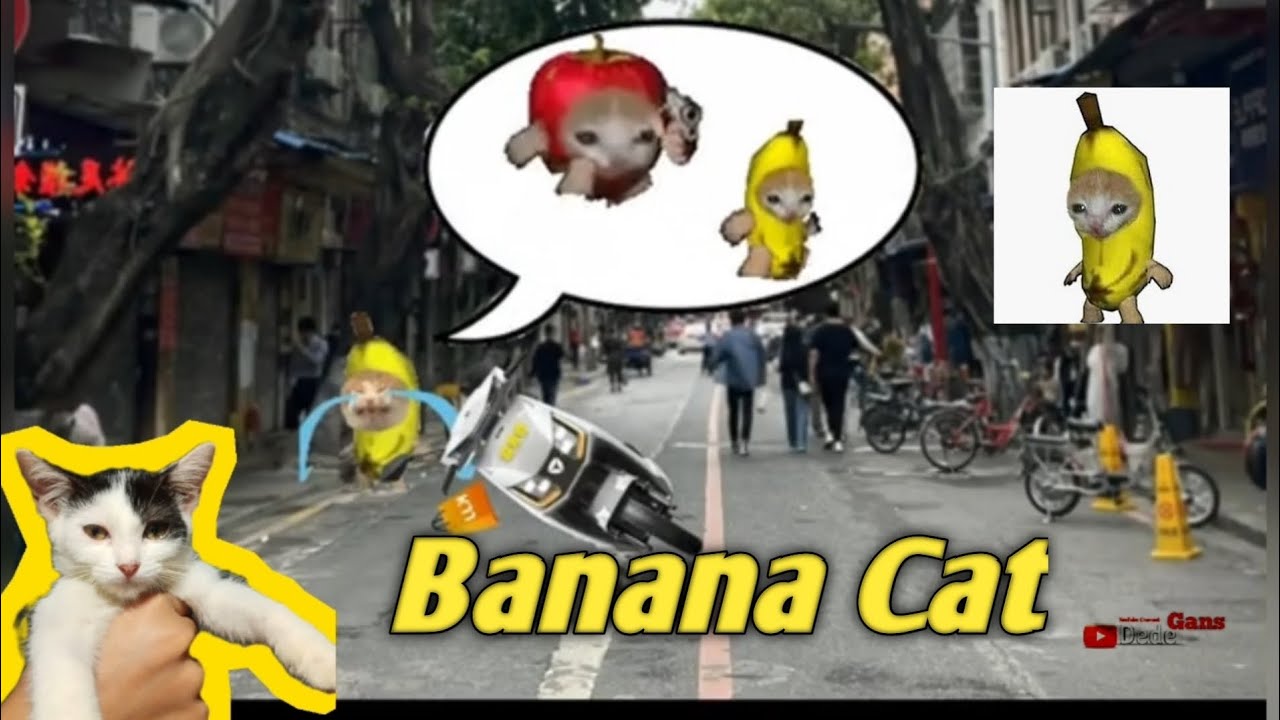 Banana Cat Is hapy/ kucing pisang nangis - YouTube