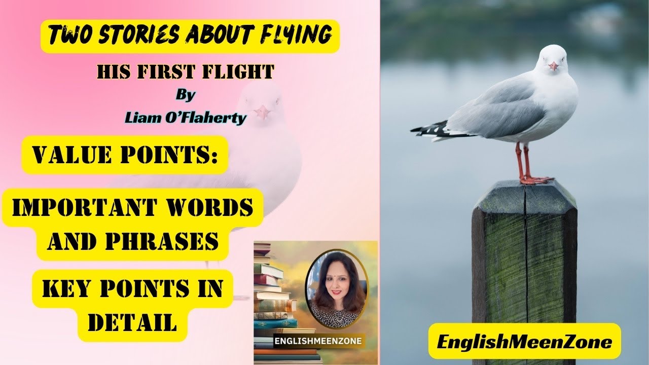 Key Points of His First Flight| Value Points of Two Stories About ...