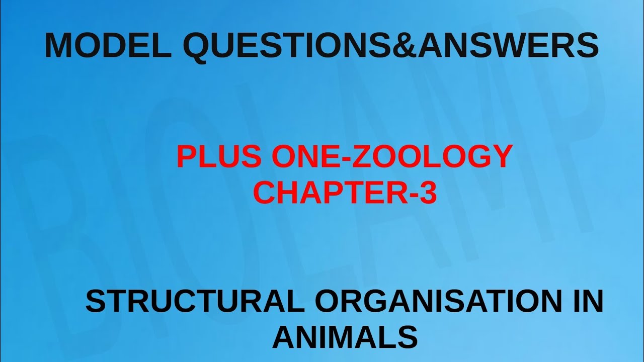 PLUS ONE ZOOLOGY-CHAPTER 3- STRUCTURAL ORGANISATION IN ANIMALS -PART 1 ...