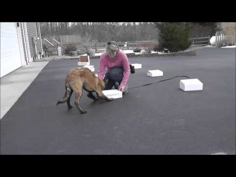 Drac Does ORT Boxes - YouTube