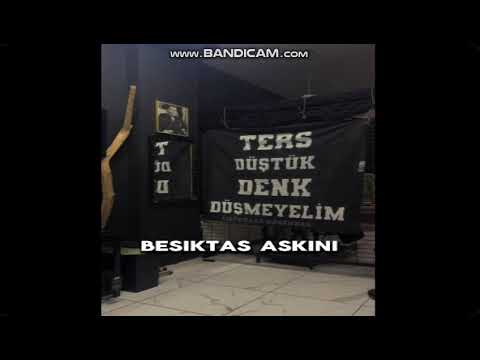 Beşiktaş Taraftarının Cenk Tosun İçin Yazdığı Beste #beşiktaş #cenktosun #fenerbahçe