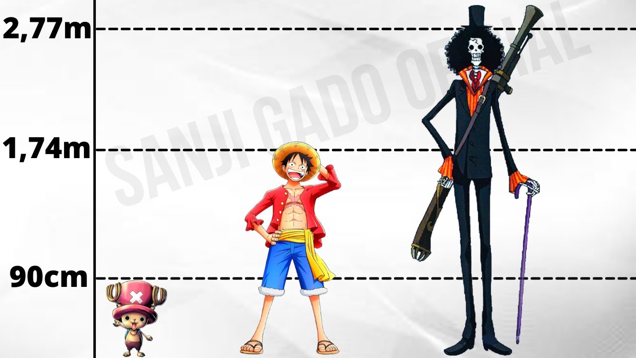 Altura dos Personagens de ONE PIECE - YouTube