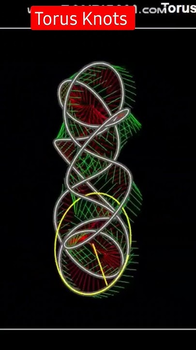 Torus Knots - YouTube