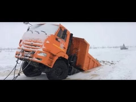 Gulmeli videolar