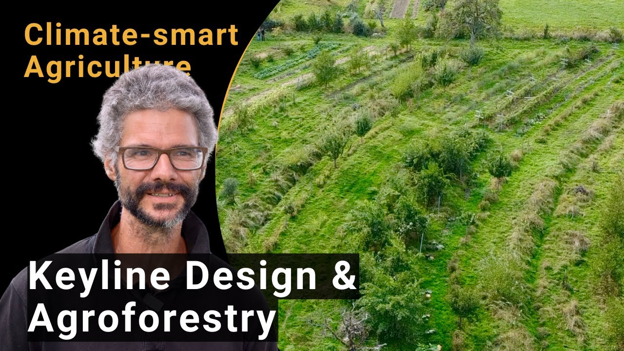 Keyline Design and agroforestry on the Aebleten farm - Climate-smart ...