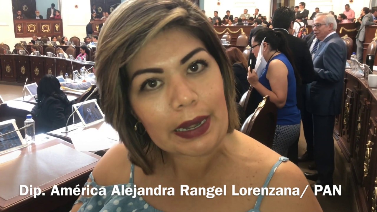 Sesión Ordinaria en el Congreso de la CM 19-02-19 - Dip.América ...