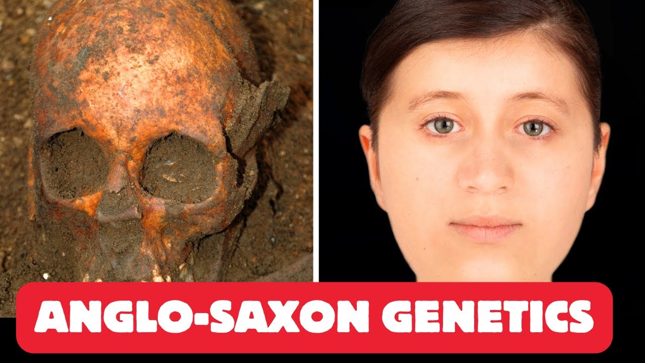 Scientists Reveal Surprising Origins of Anglo-Saxon Genetics - YouTube