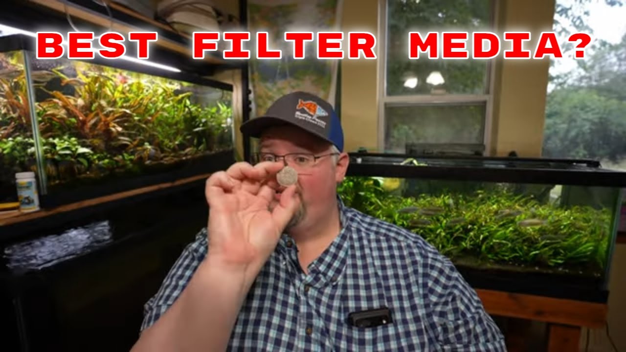 What's The BEST Filter Media for Aquariums? - YouTube