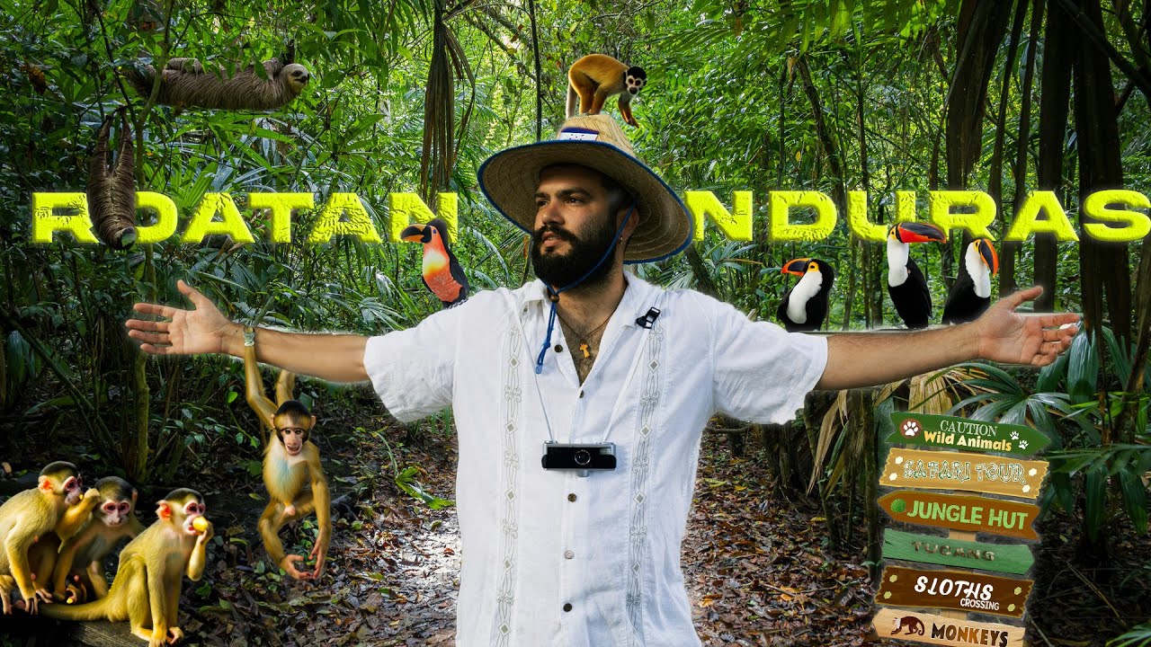 Visiting An Animal Sanctuary In Roatan Honduras! - YouTube