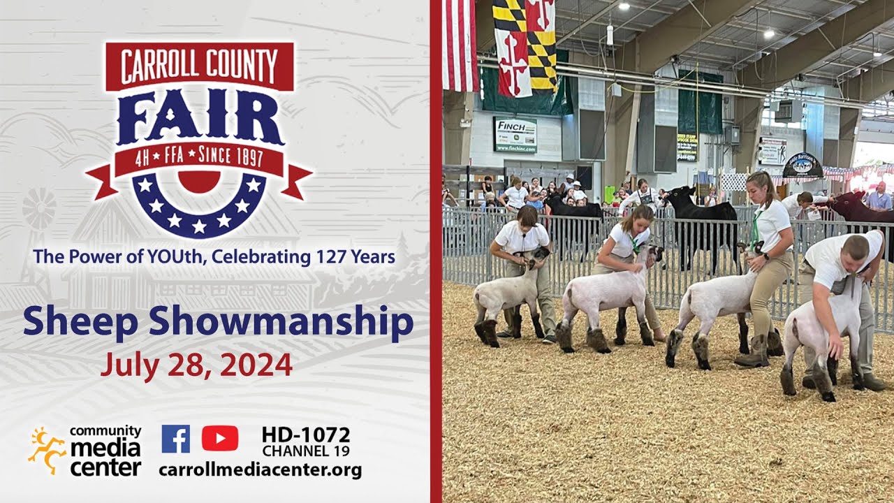 Carroll County 4-H & FFA Fair Sheep Showmanship 7-28-2024 - YouTube