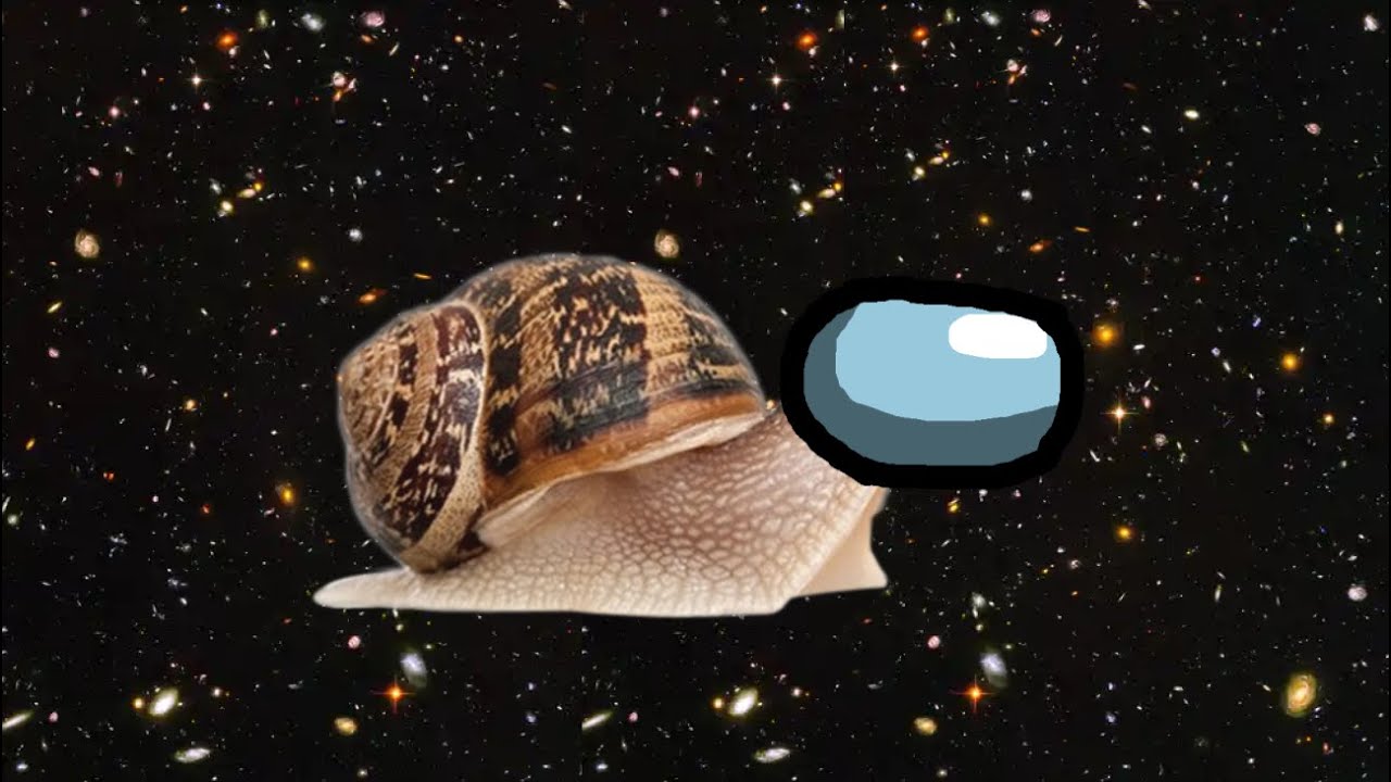 when the snail is sus - YouTube