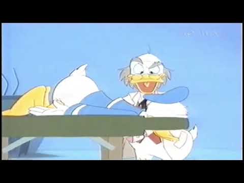 Akun Tehdas - Taavi Ankan Rentoutusterapia