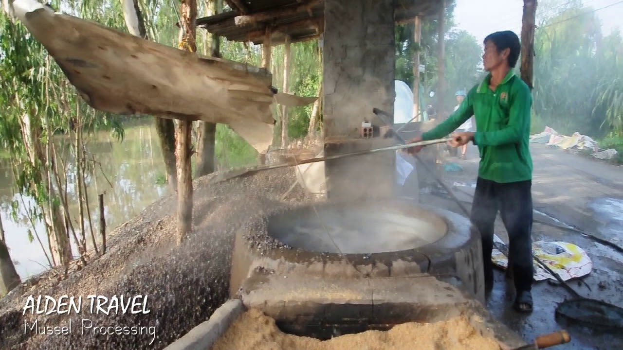 Mussel Processing - YouTube