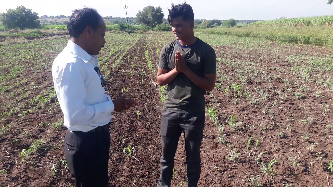 Green Life sendriy rizalt - YouTube