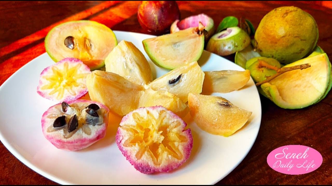 How to Open and Eat Milk or Star Apple #howto #fruit #food - YouTube