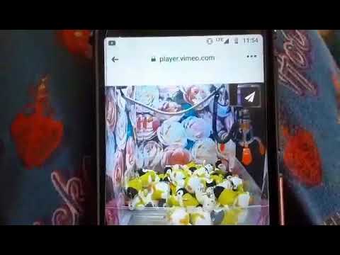 Clawee real Claw Machine win real prizes beginner level win(Contains ...