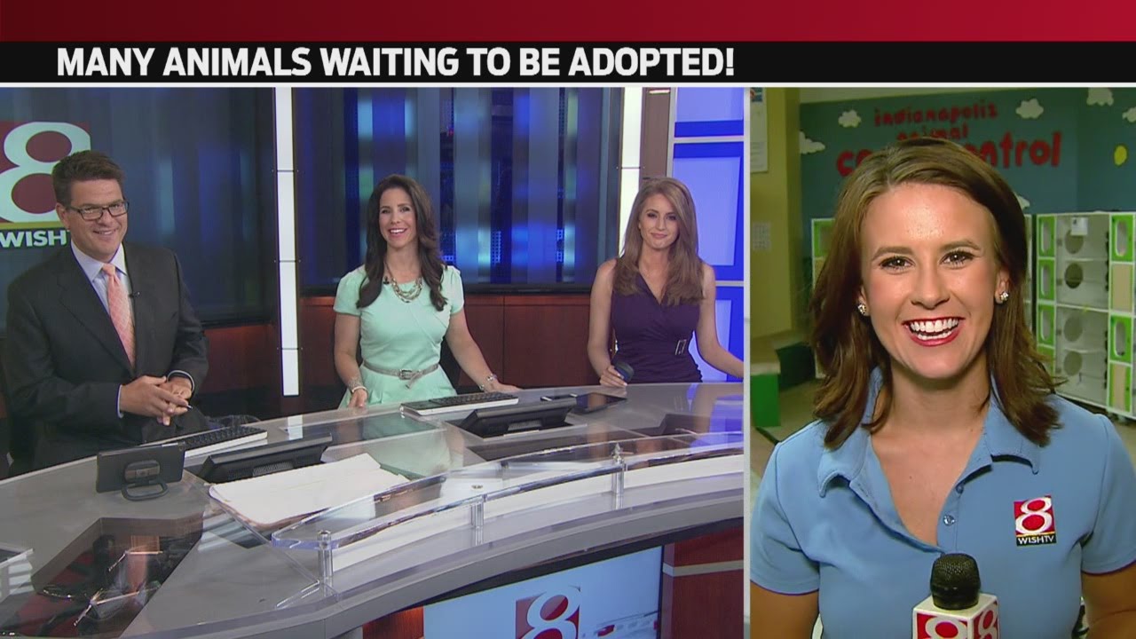 Indy Mega-Adoption Event happening this weekend - YouTube