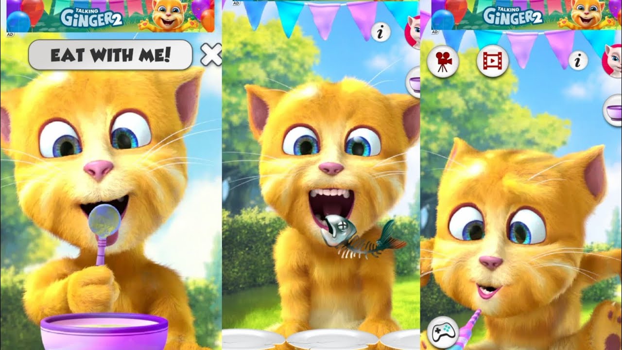 My talking ginger 2 eating yummy food🍝🍔🍜🦀🐤🐛🐈🍋 | my talking ginger 2 ...