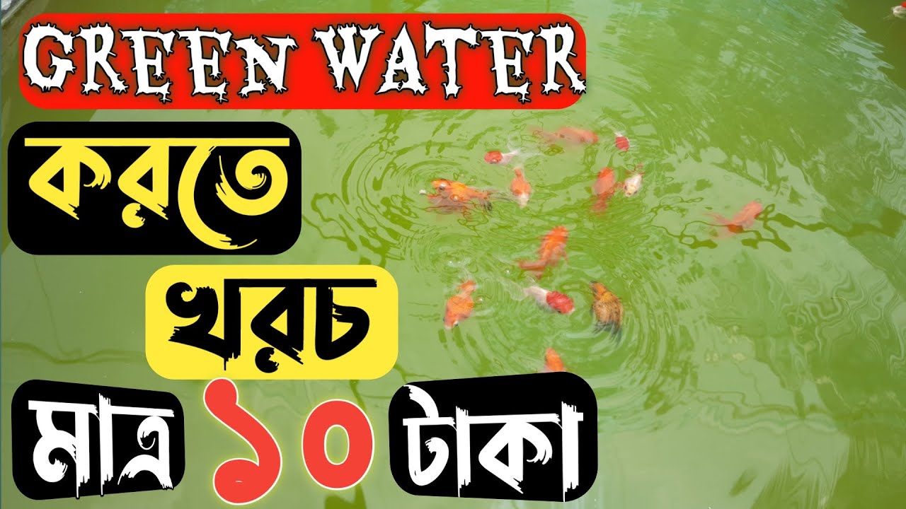 কীভাবে সবুজ পানি তৈরি করবেন ? - How To Make Green Water? - YouTube