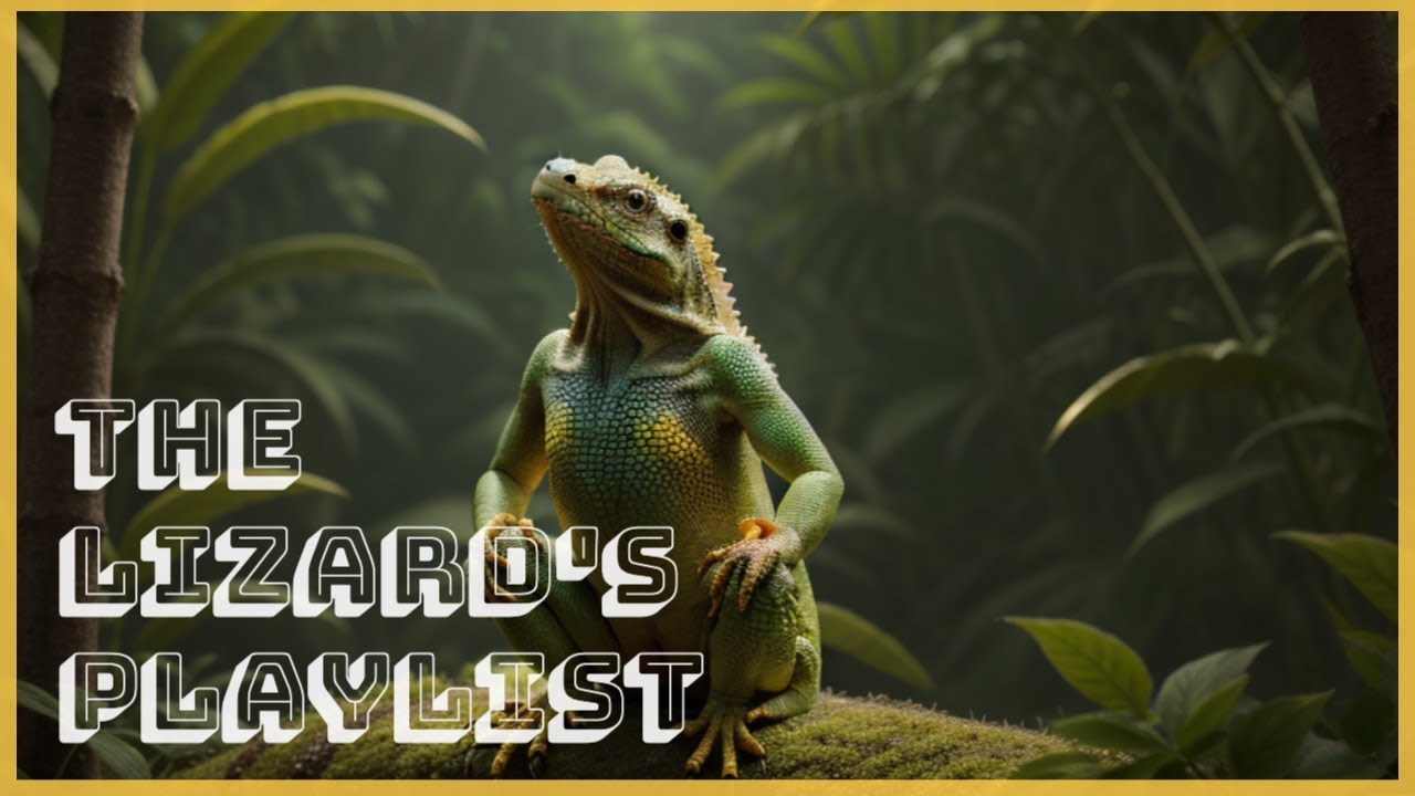 [ PLAYLIST ] 도마뱀의 꿈 속에서는 어떤 음악이 나올까요? What music plays in a lizard's ...