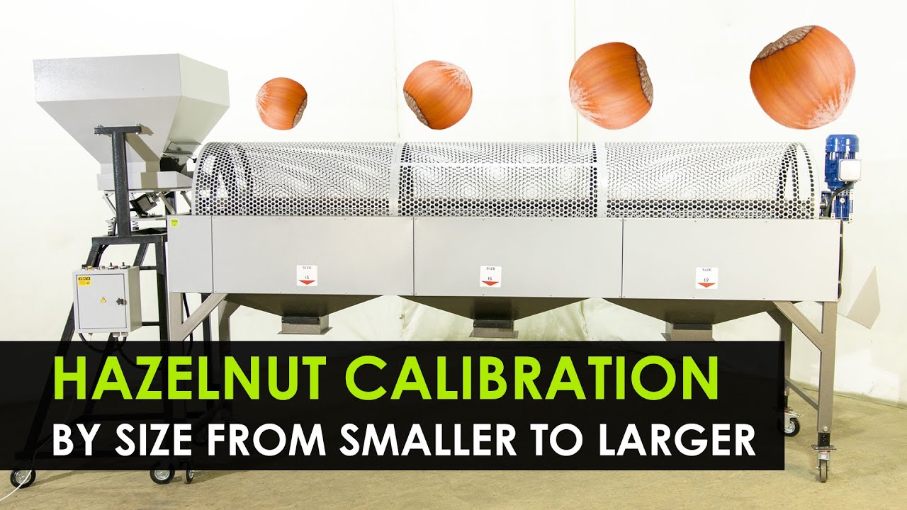 Hazelnut Processing: Hazelnut Calibrating Machine - YouTube