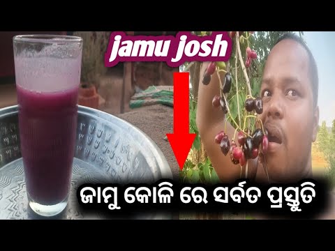ଜାମୁ କୋଳି ରେ ସର୍ବତ୍ ପ୍ରସ୍ତୁତି !! jamu koli re Josh prastuti !! daily ...