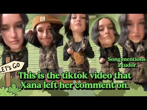 IDAHO4● Did Xana really leave the comment on her tiktok, or did someone else? If so, why?