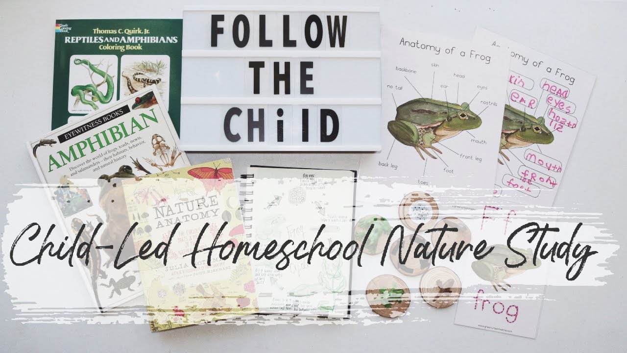 How To Homeschool Nature Studies l Child-Led Learning l Eclectic ...